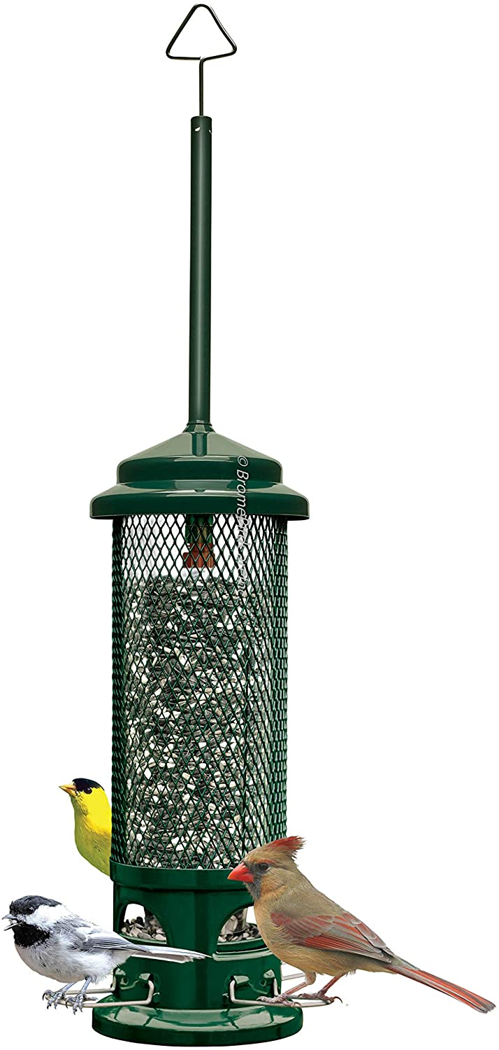 Bird Feeding Resources - BirdOculars